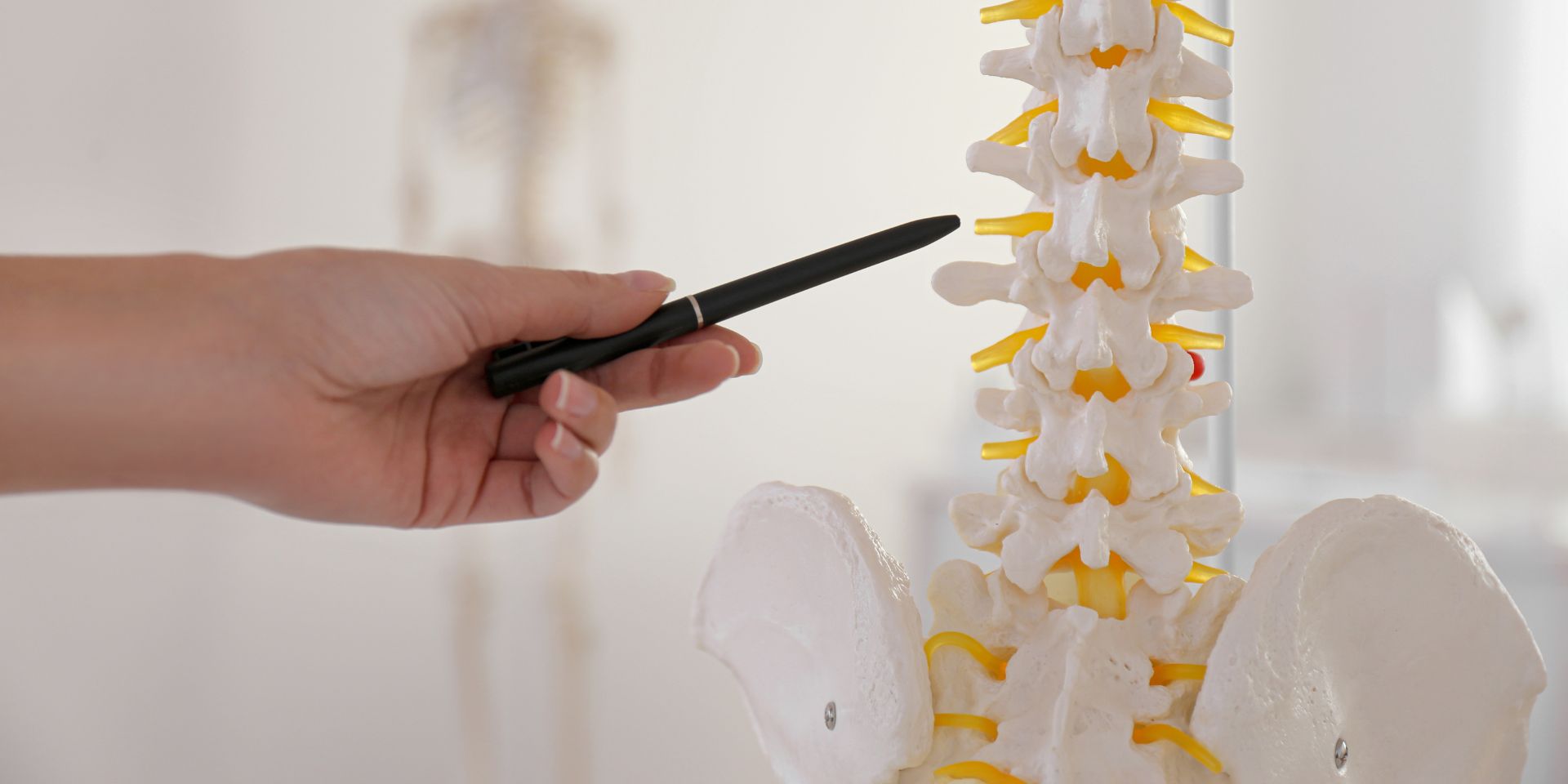 Lumbar Spine Pain Area | Hollstrom & Associates Inc